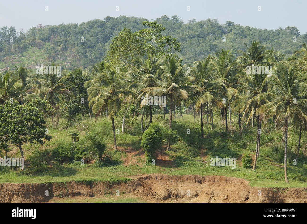 Sri lanka countryside hi-res stock photography and images - Alamy