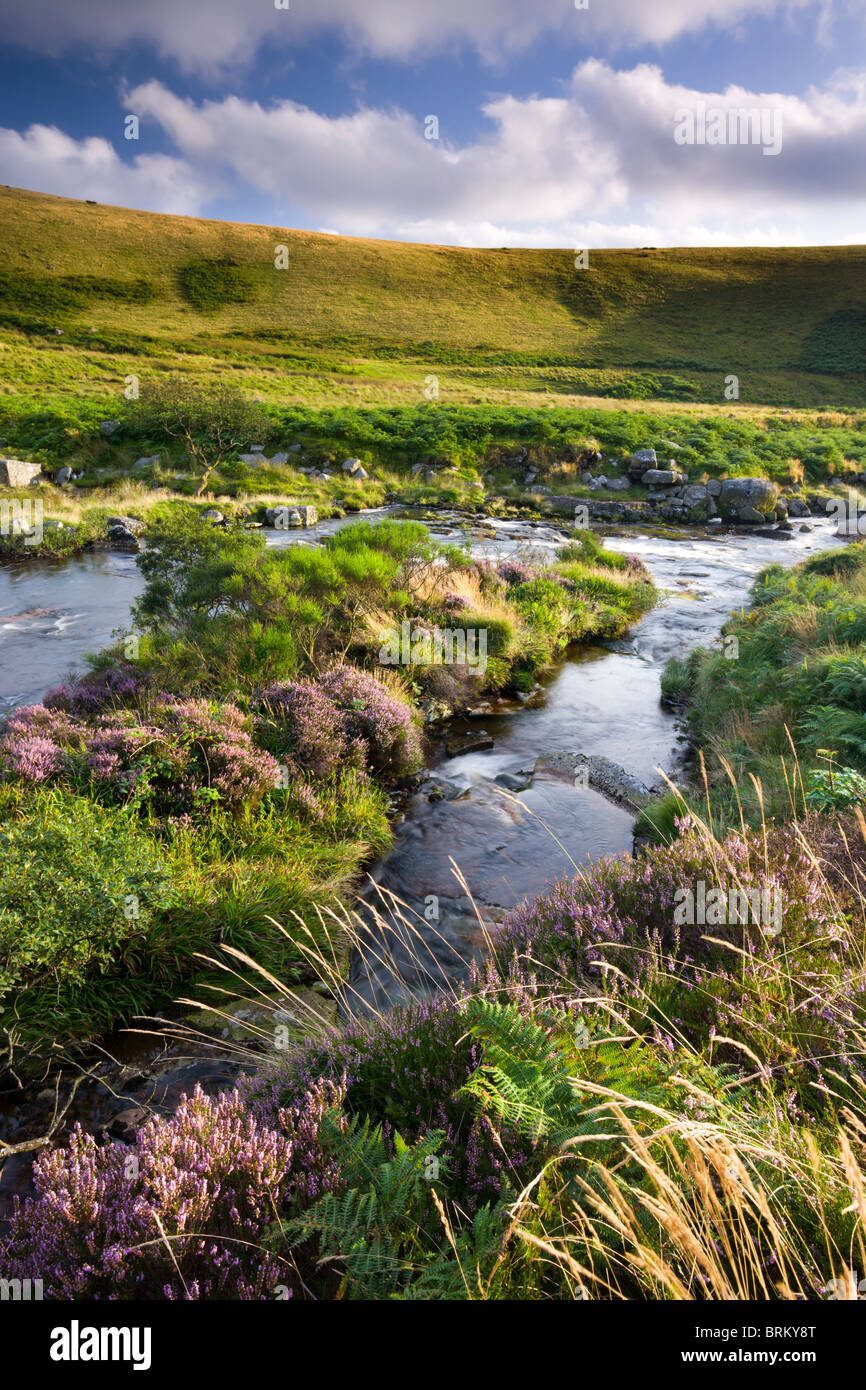 River Tavy running through Tavy Cleave in Dartmoor National Park, Devon ...