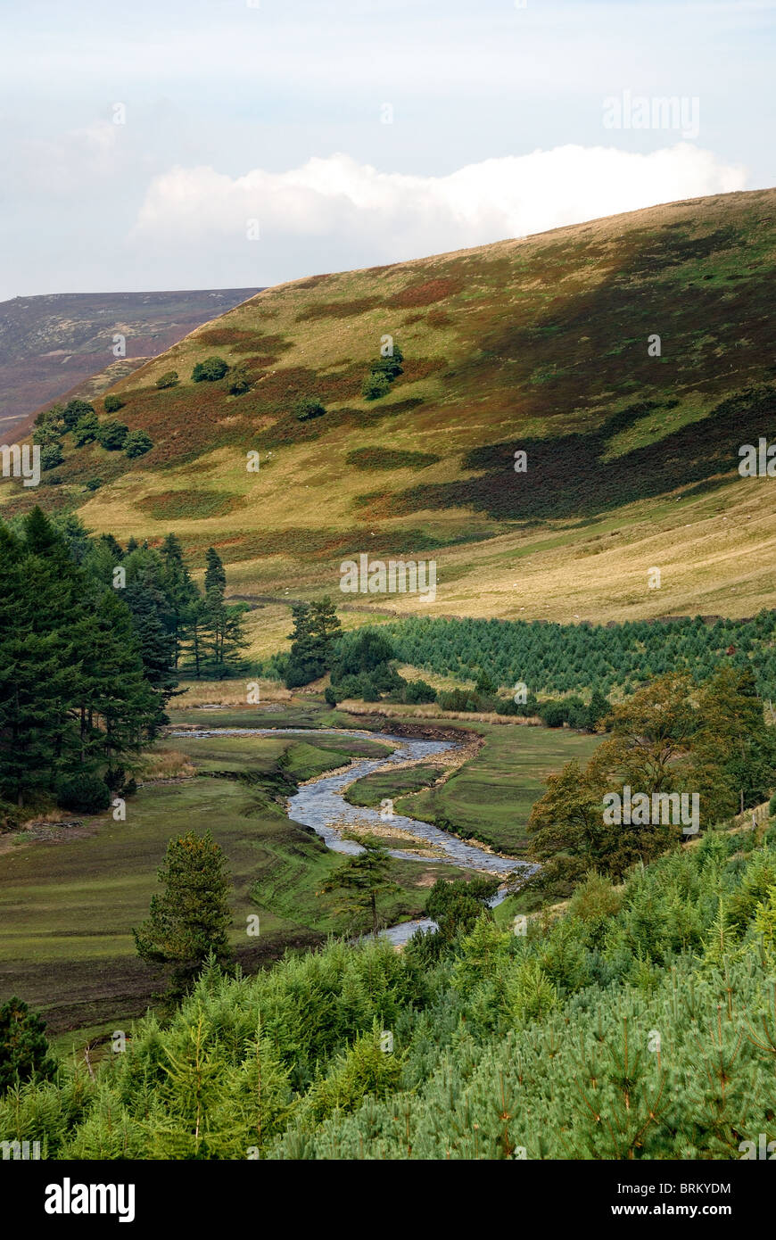 derwent valley derbyshire england uk Stock Photo - Alamy