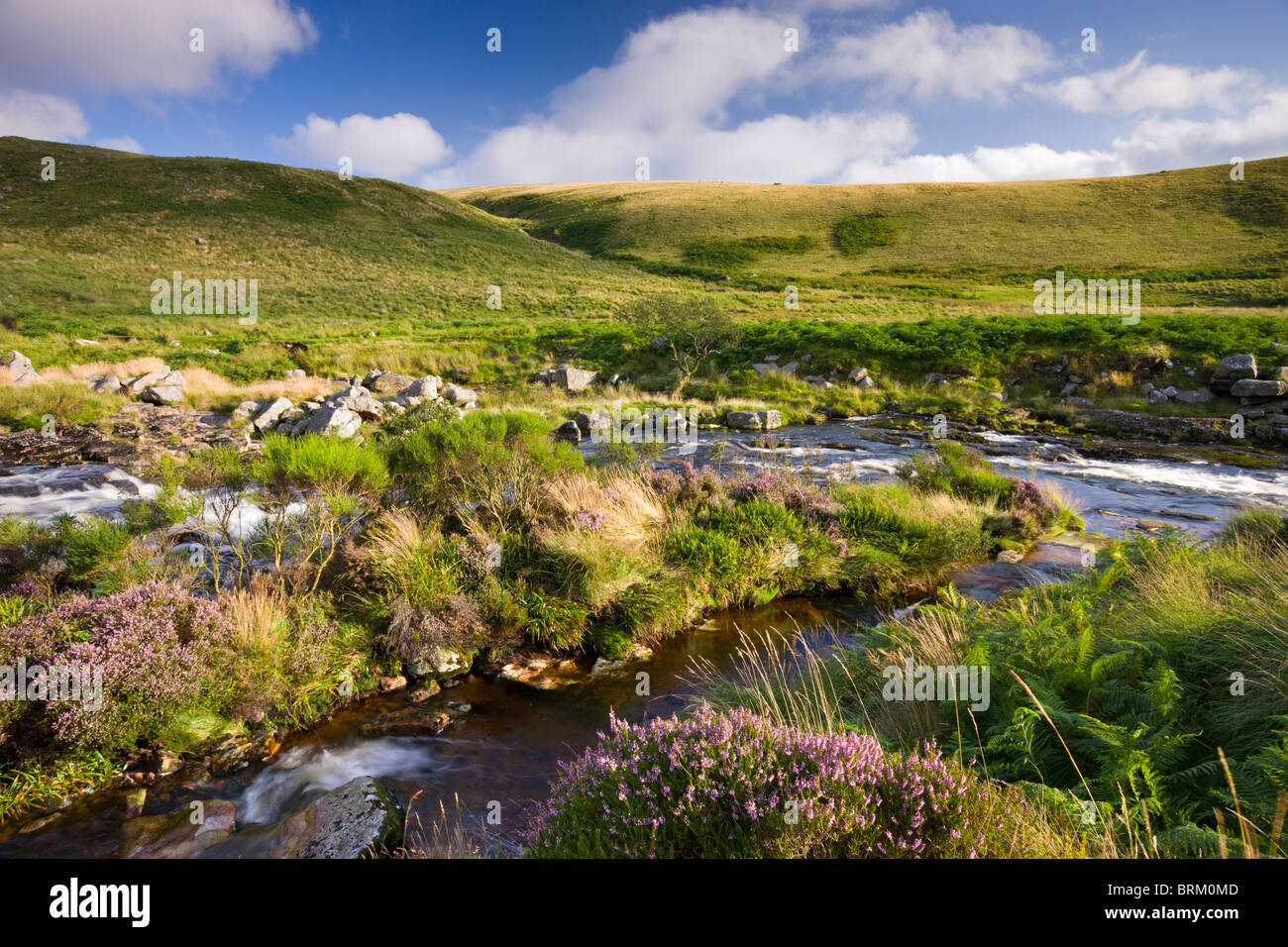 Tavy Cleave Stock Photos & Tavy Cleave Stock Images - Alamy