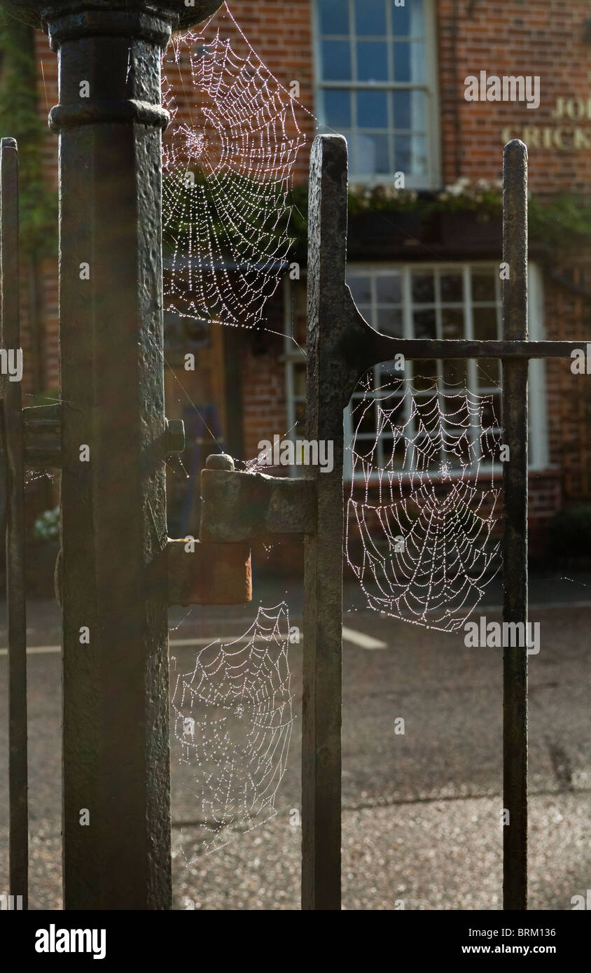 Early morning dew hangs hi-res stock photography and images - Alamy