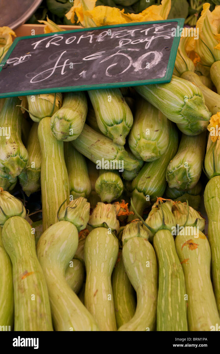 Courgettes trompettes hi-res stock photography and images - Alamy