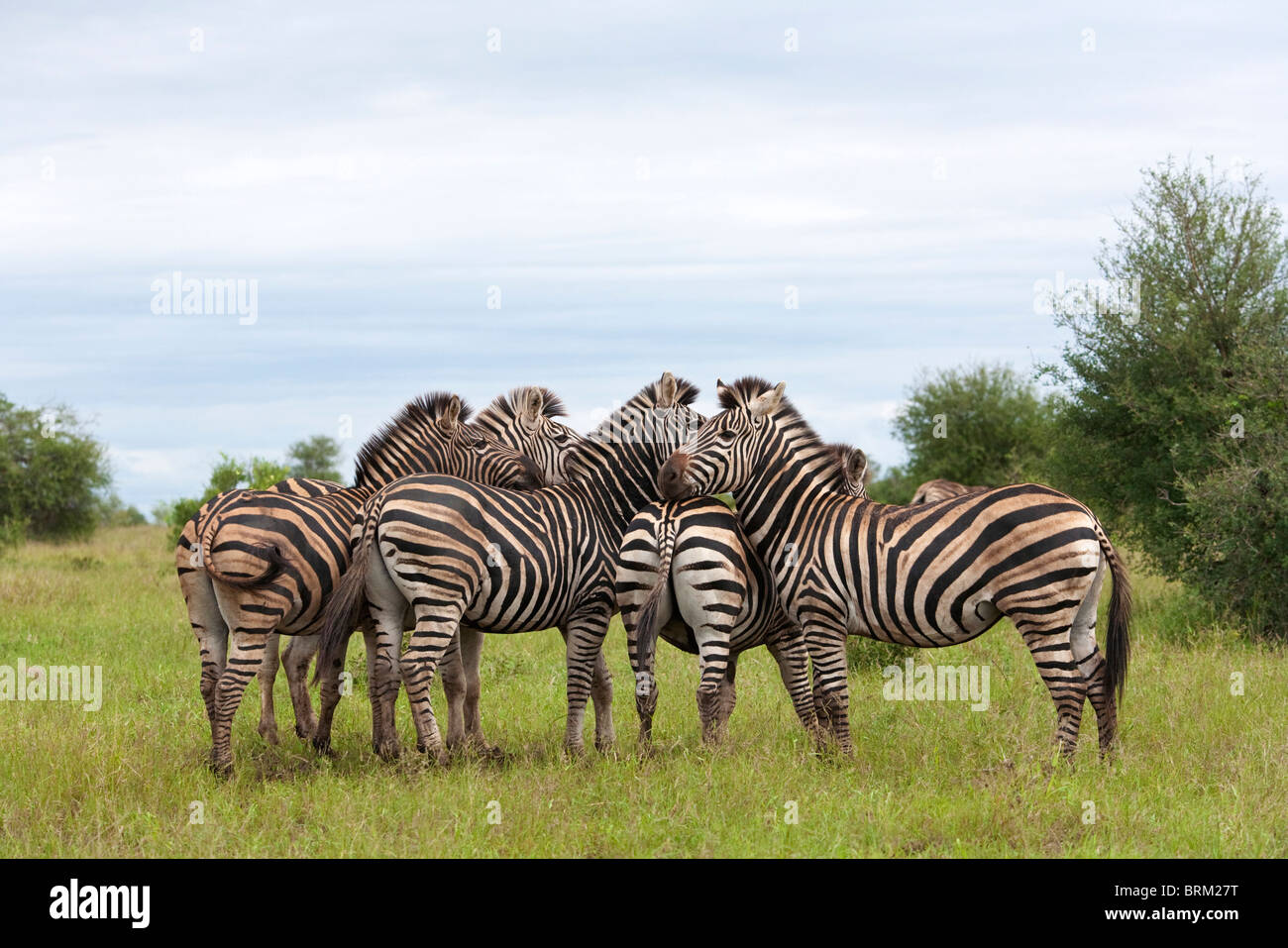Huddled hi-res stock photography and images - Alamy