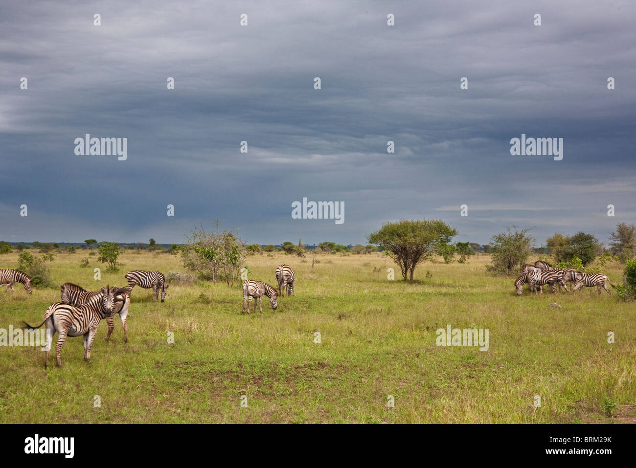 Storm overhead hi-res stock photography and images - Alamy