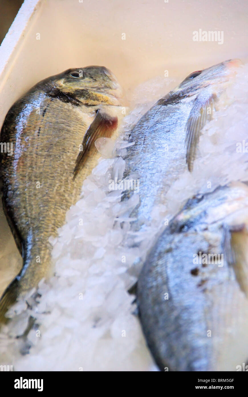 Essen on ice hi-res stock photography and images - Alamy