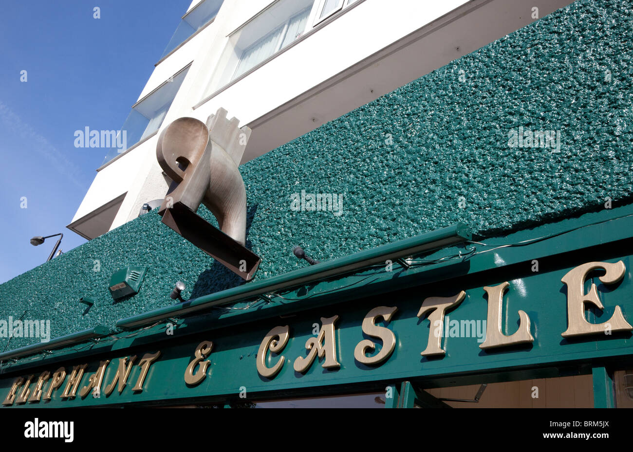 Elephant Drinking Alcohol