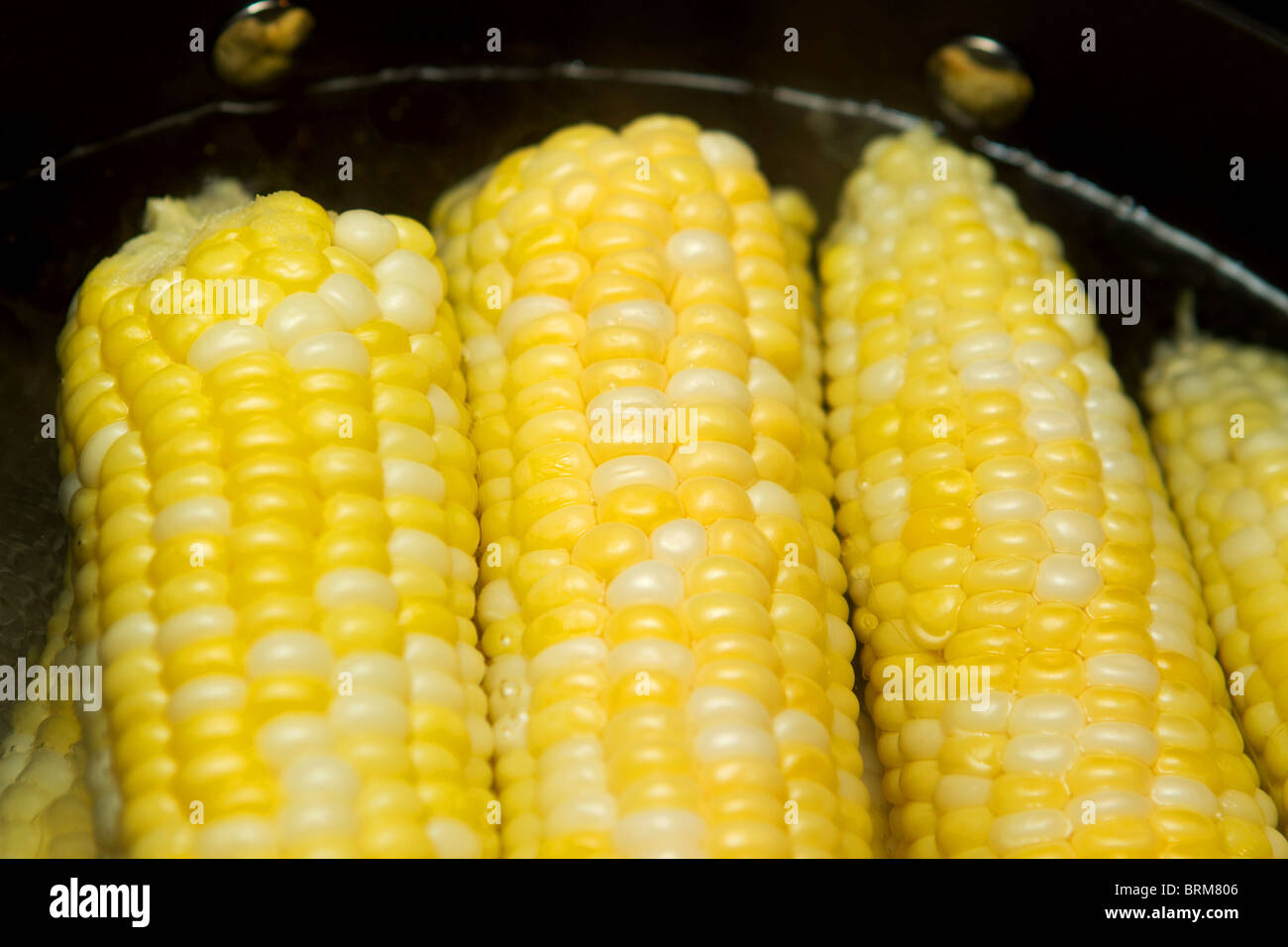 Corn on cob boiling in hi-res stock photography and images - Alamy