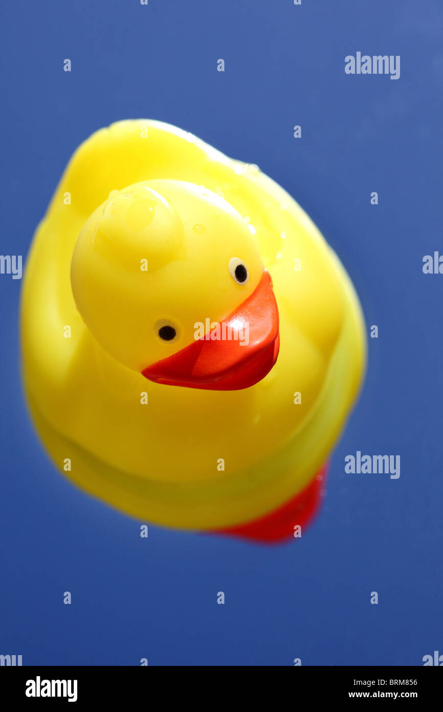 yellow rubber duck Stock Photo - Alamy