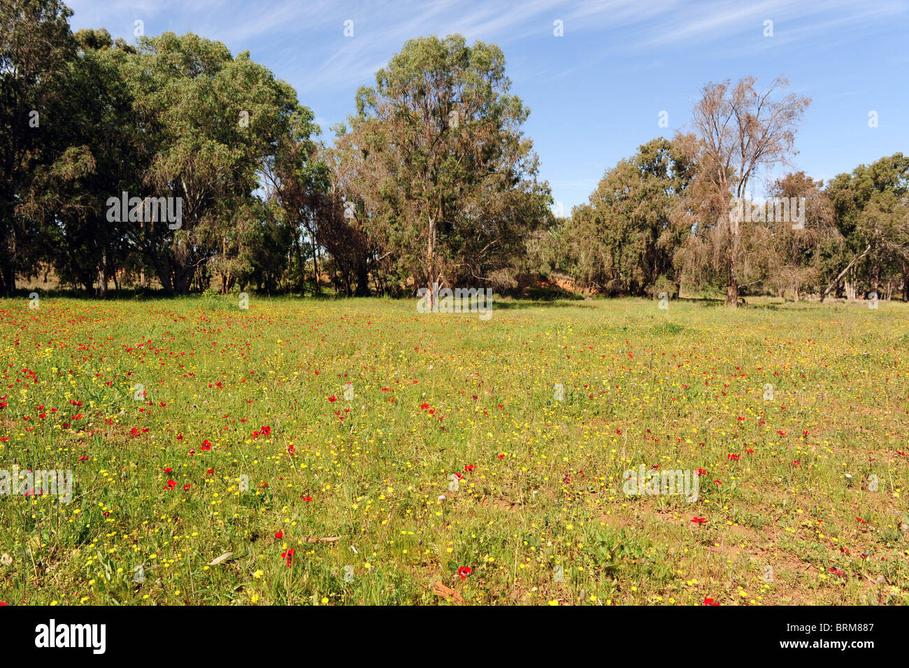 Kibbutz Beeri High Resolution Stock Photography and Images - Alamy
