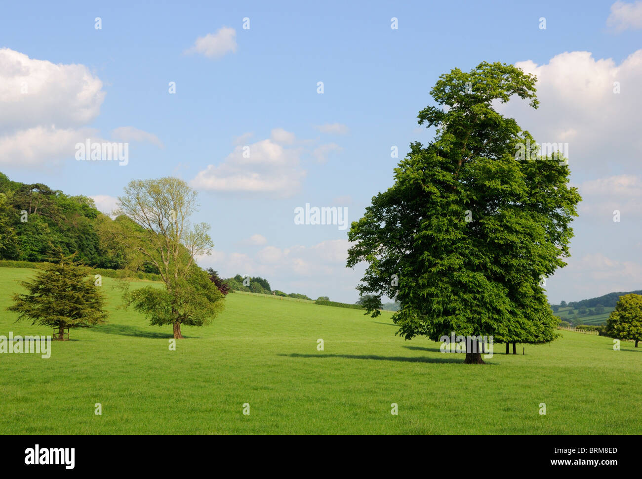 Parkland sunny green rolling hills hi-res stock photography and images ...