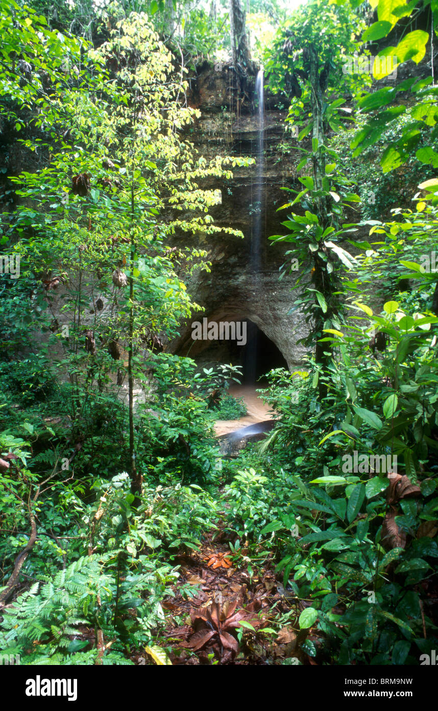 Maruaga cavern at Presidente Figueiredo, State: Amazonas, Brazil. Eco ...