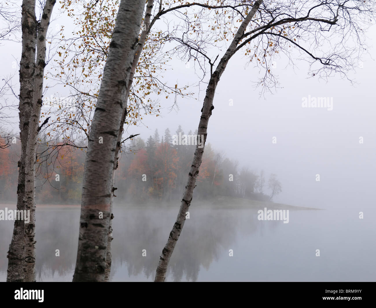 Early morning fall nature scenery of The Arrowhead Lake. Arrowhead ...