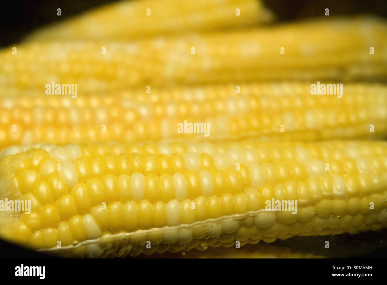Ears of corn on the cob hi-res stock photography and images - Alamy