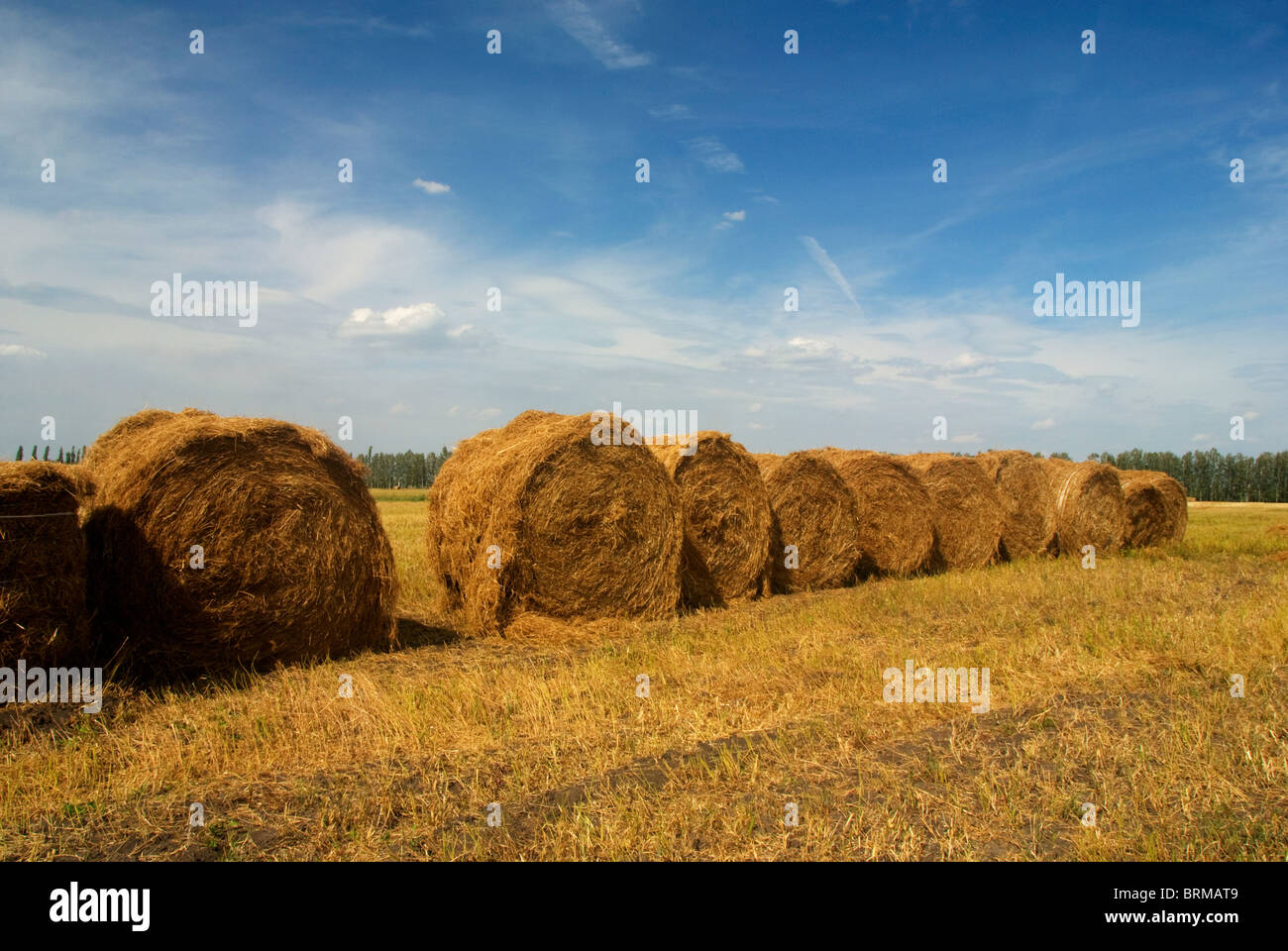 Hay Bales in Field Stock Photo - Alamy