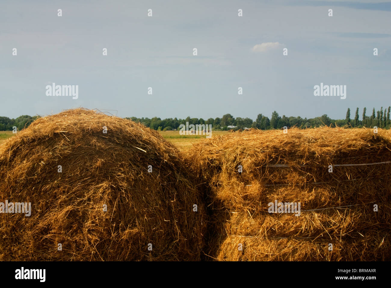 Hay Bales in Field Stock Photo - Alamy