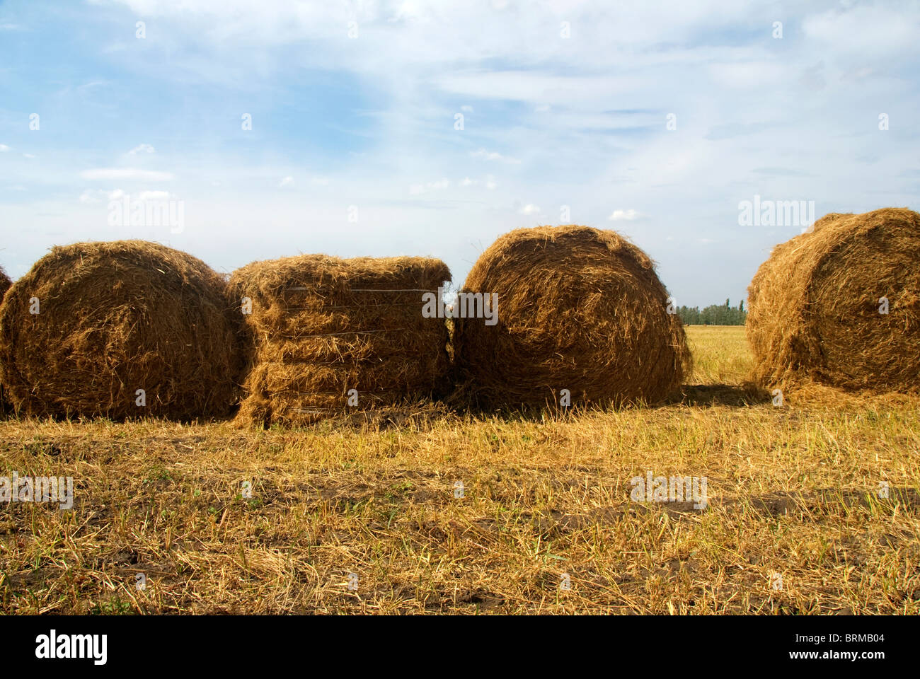 Hay Bales in Field Stock Photo - Alamy