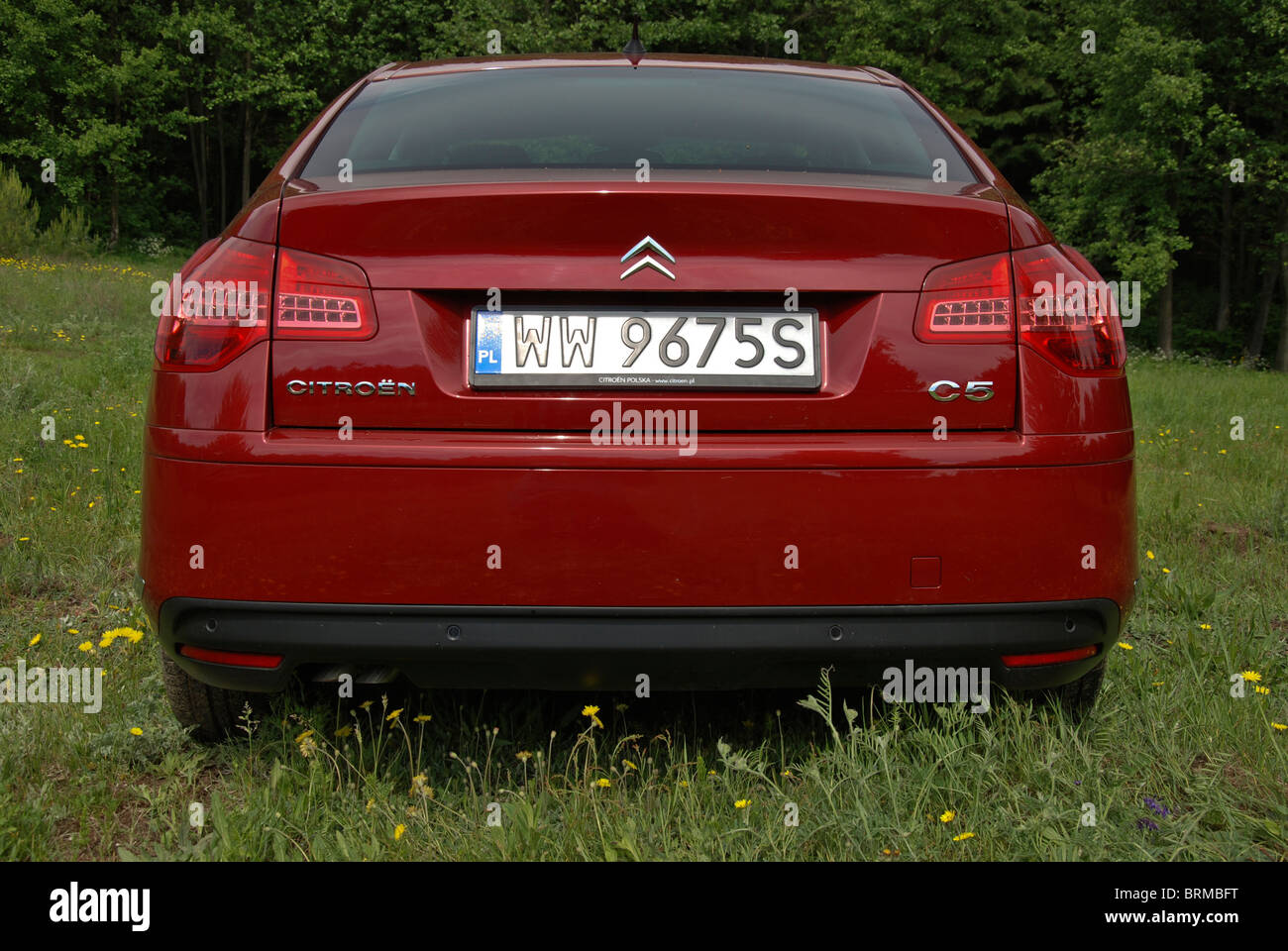 Citroen C5 2.0 HDI - MY 2008 - red metallic - five doors - French ...