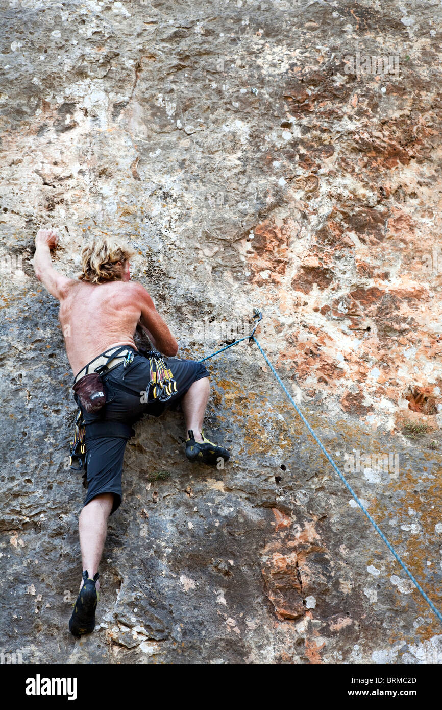 Bellus hi-res stock photography and images - Alamy