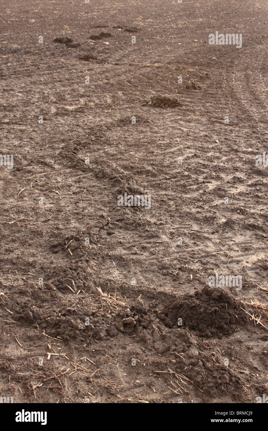 Mole gear in field, Estonia Stock Photo - Alamy