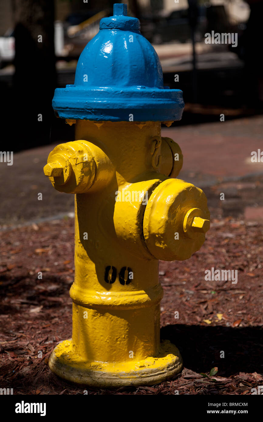 An American water hydrant in Savannah, Georgia Stock Photo - Alamy