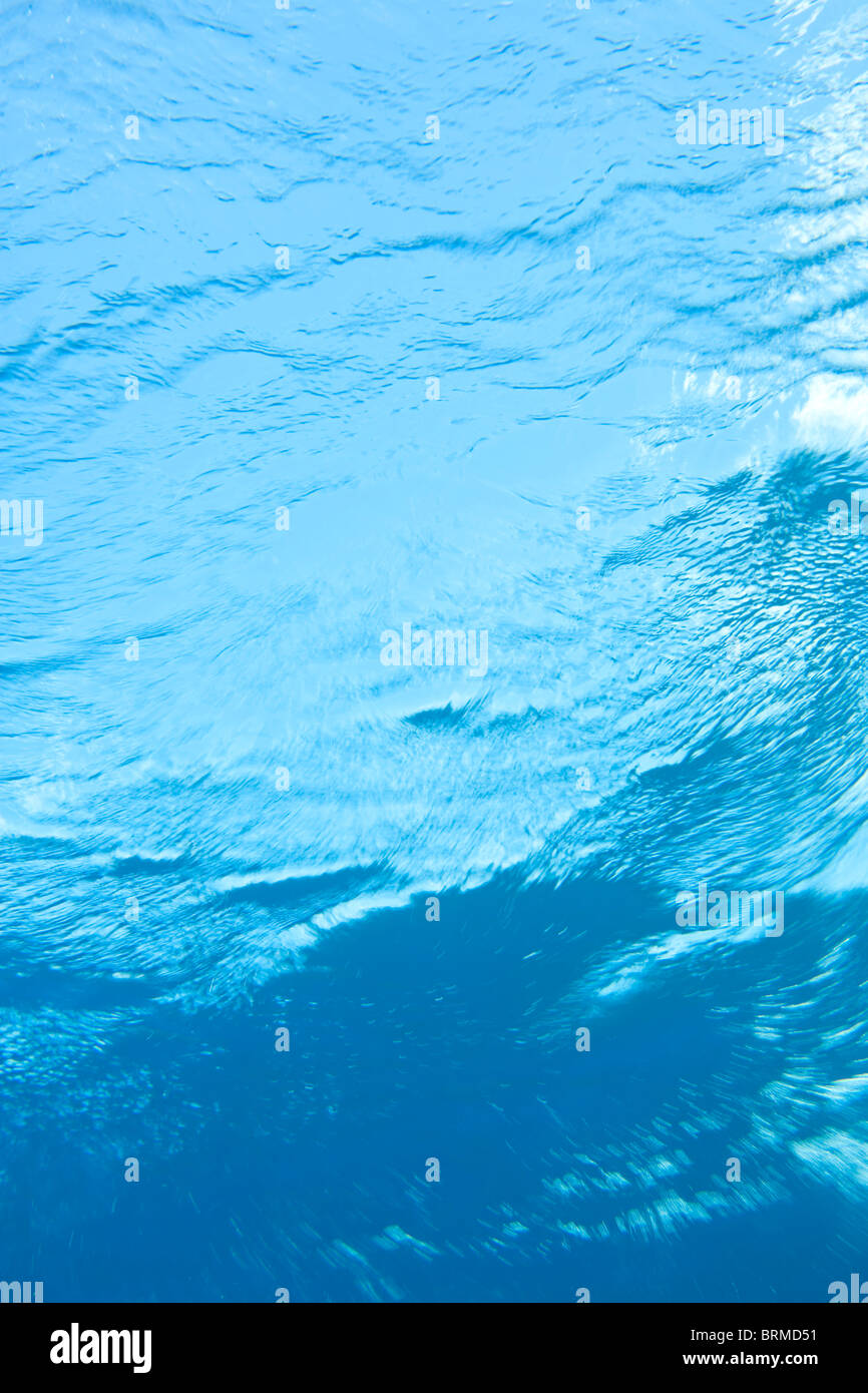 underwater upward angle view of ocean surface, Utila, North Side, Bay ...