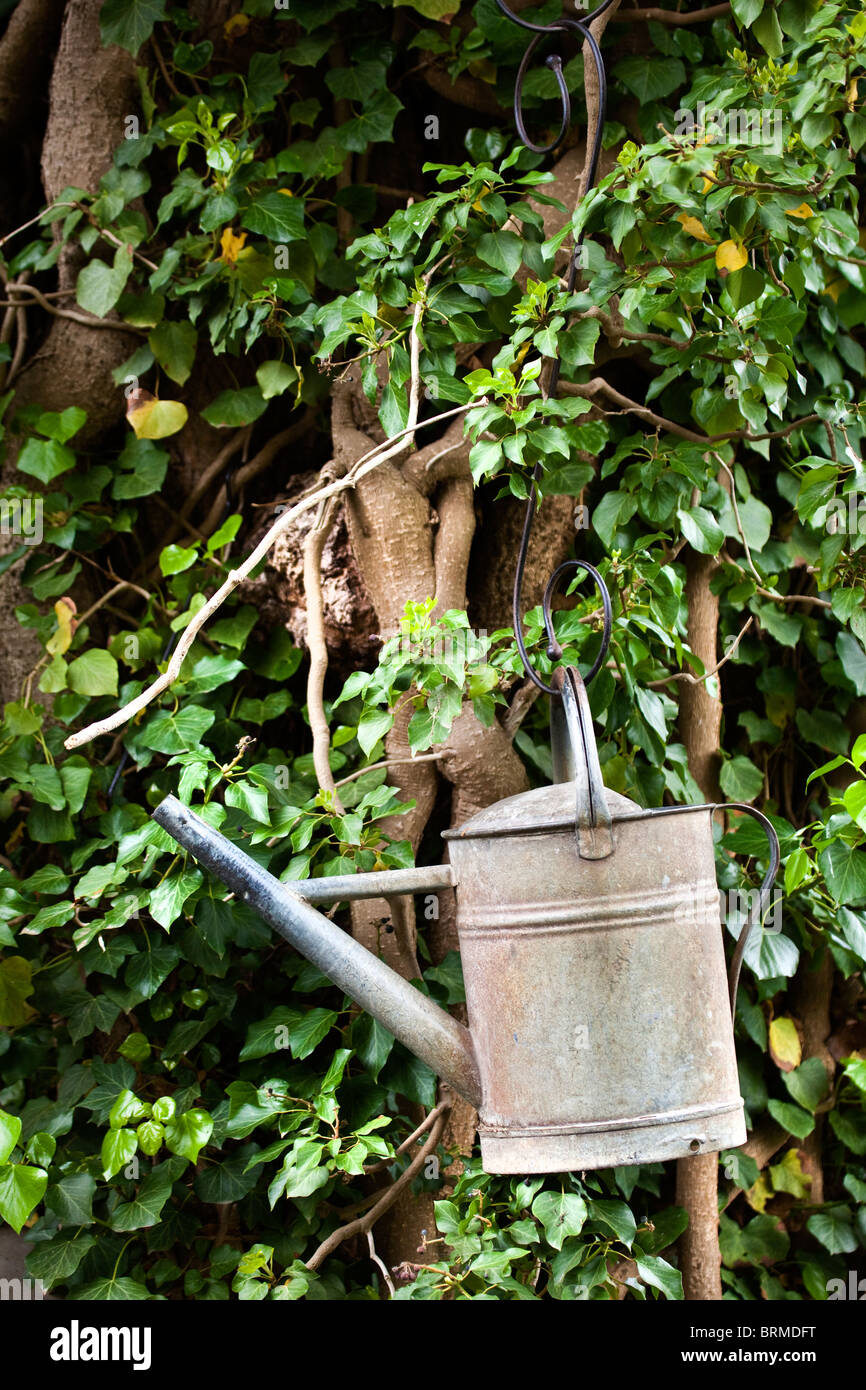 watering can hanging in a tree Stock Photo - Alamy