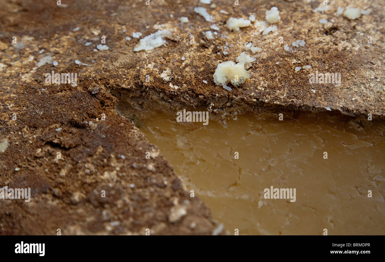 Rind and cut edge of Salers cheese from the Auvergne France made from ...