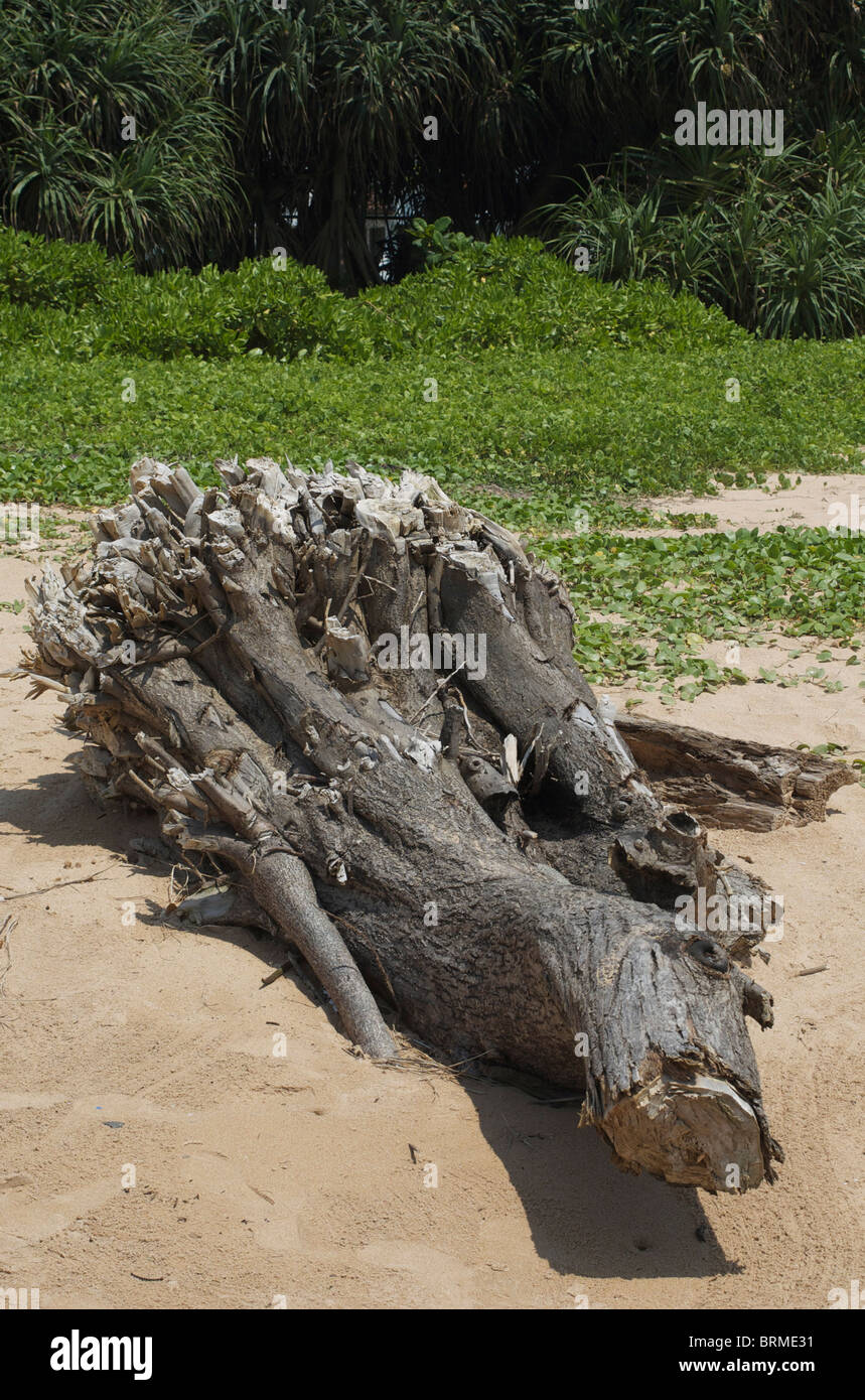 Flotsam and jetsam hi-res stock photography and images - Alamy