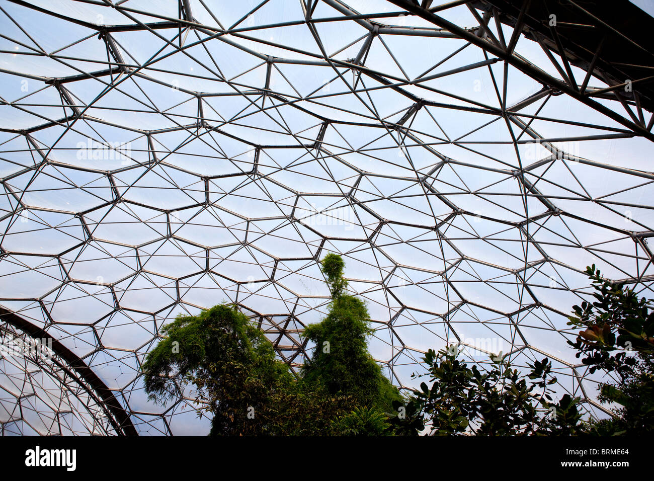 The Eden Project Stock Photo - Alamy