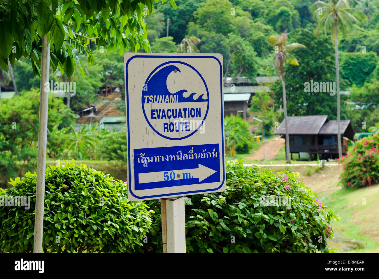 2004 tsunami wave hi-res stock photography and images - Alamy