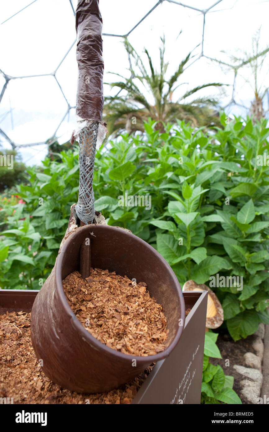 Grow project hi-res stock photography and images - Alamy