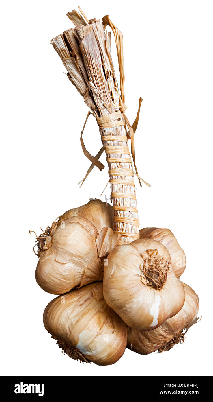 Garlic hi-res stock photography and images - Alamy
