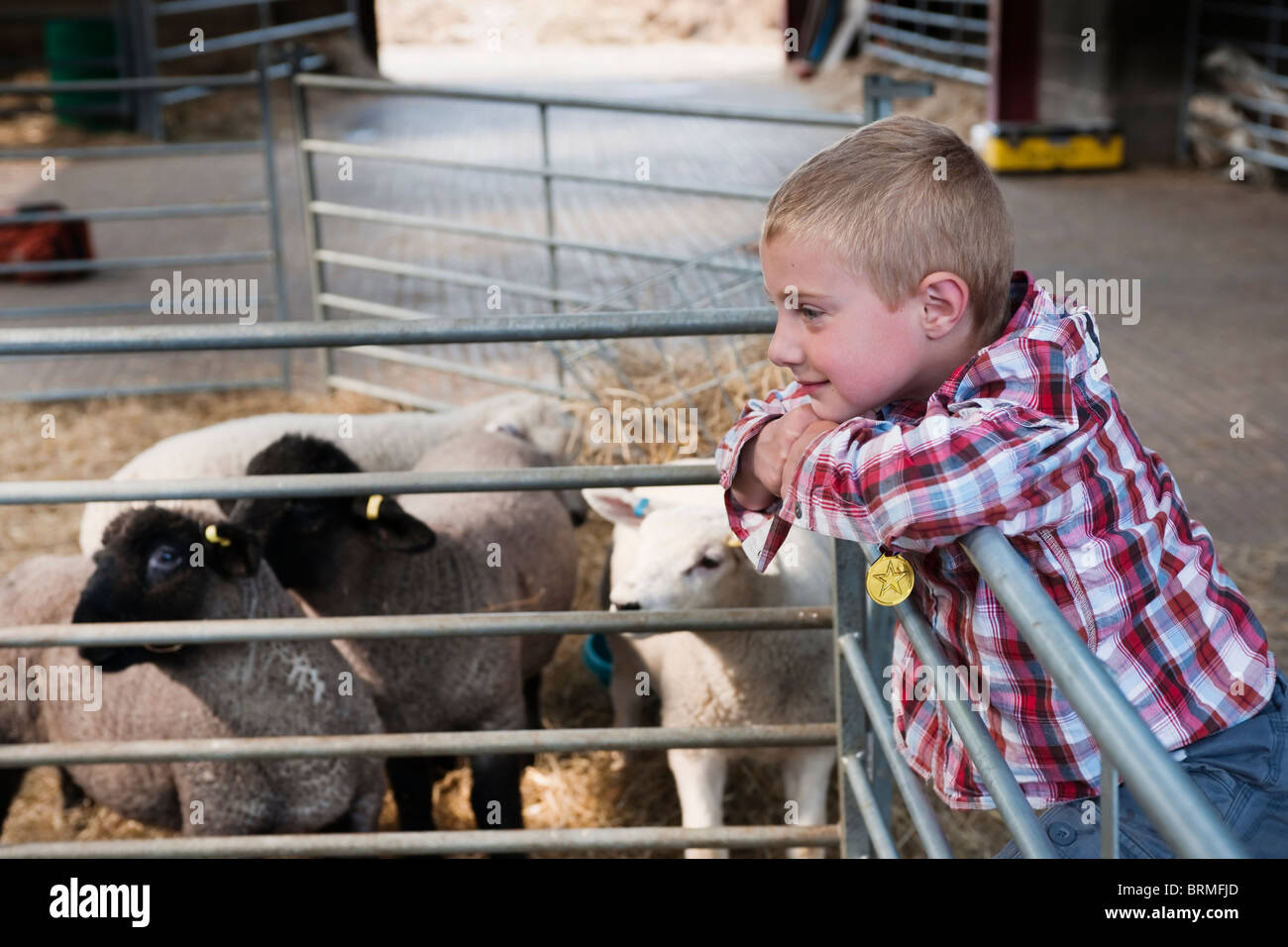 Boy with barn hi-res stock photography and images - Alamy