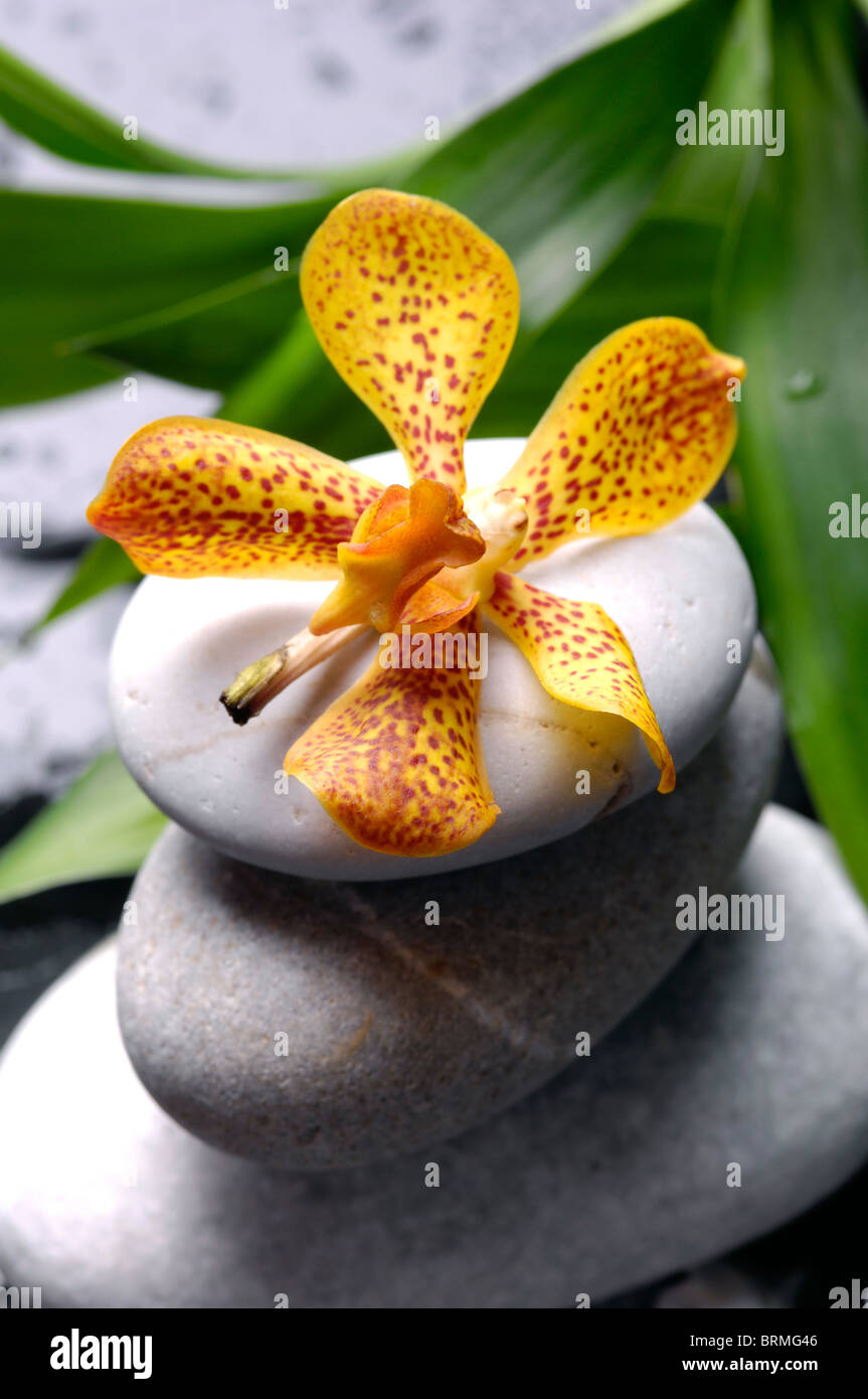 Step stones of marble hi-res stock photography and images - Alamy