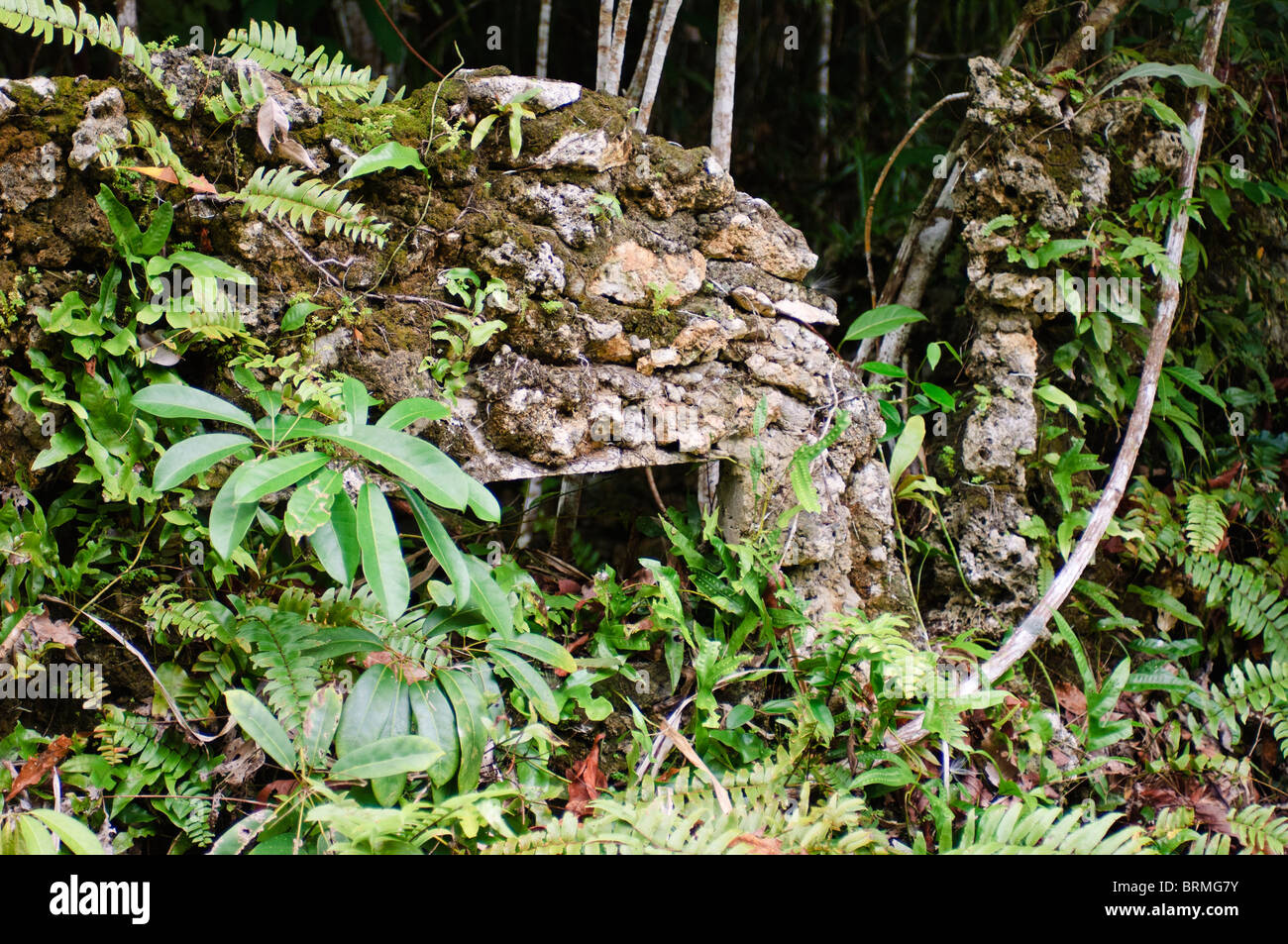 Japanese WWII fortifications. Biak, West Papua, Indonesia Stock Photo ...