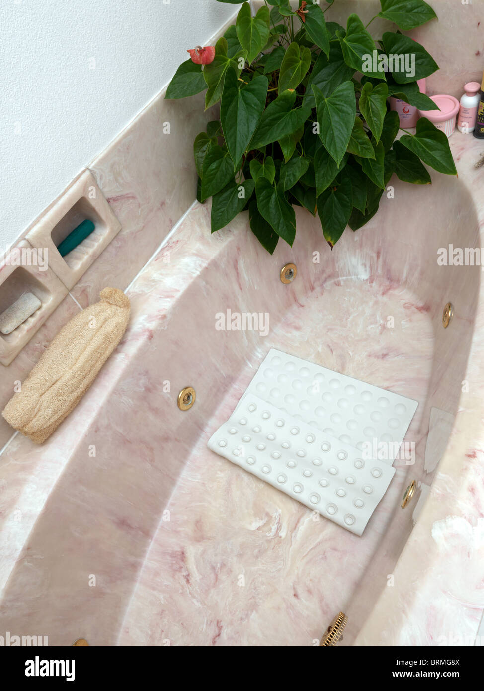 Microbial mat hi-res stock photography and images - Alamy