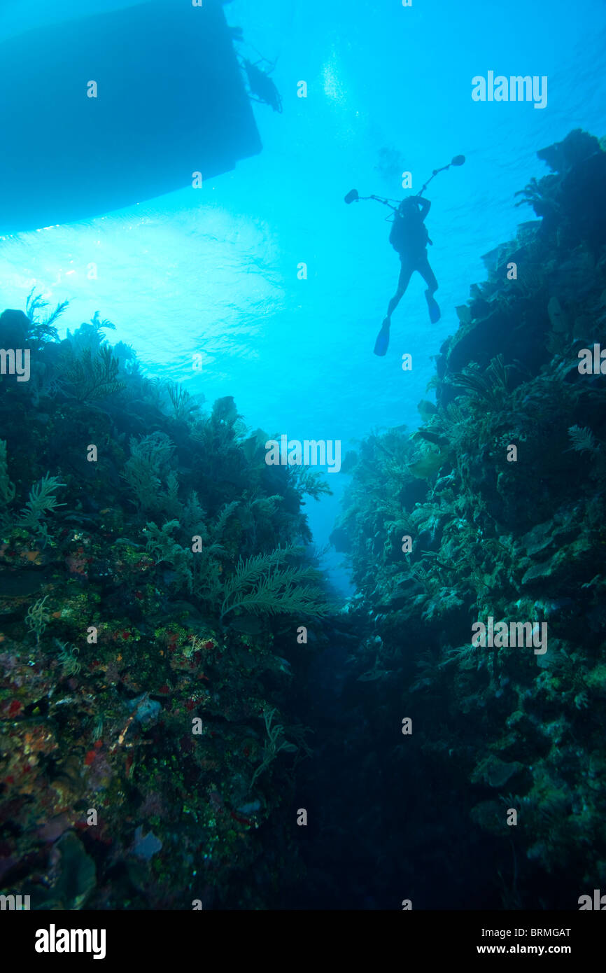 Utila Bay Islands Honduras High Resolution Stock Photography and Images ...