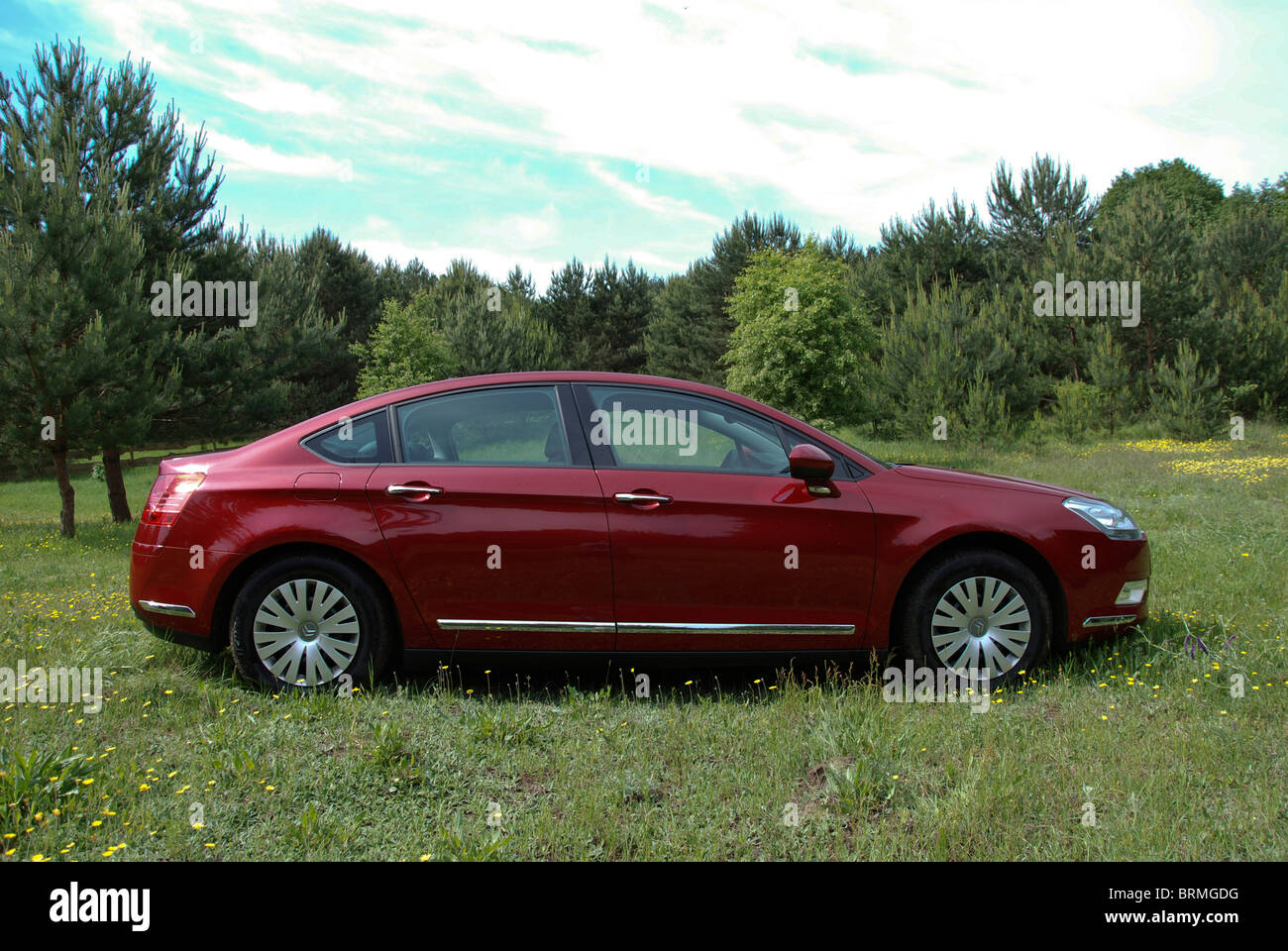 Citroen C5 2.0 HDI - MY 2008 - red metallic - five doors - French ...
