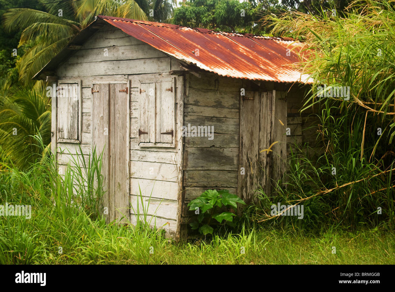 Old wooden house in bush Stock Photo - Alamy