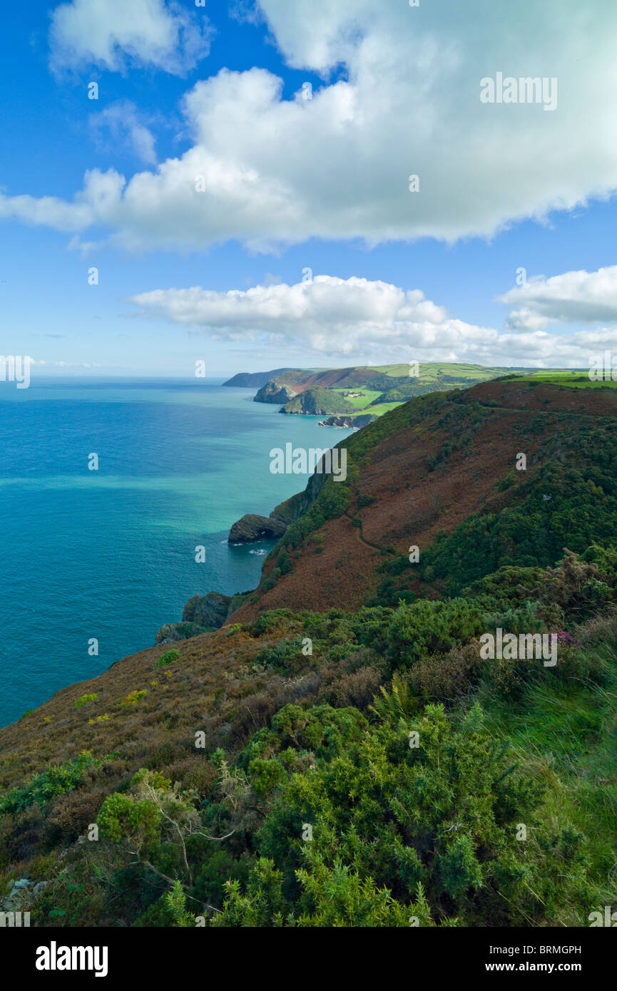 North Devon: Woody Bay and coast path Stock Photo - Alamy