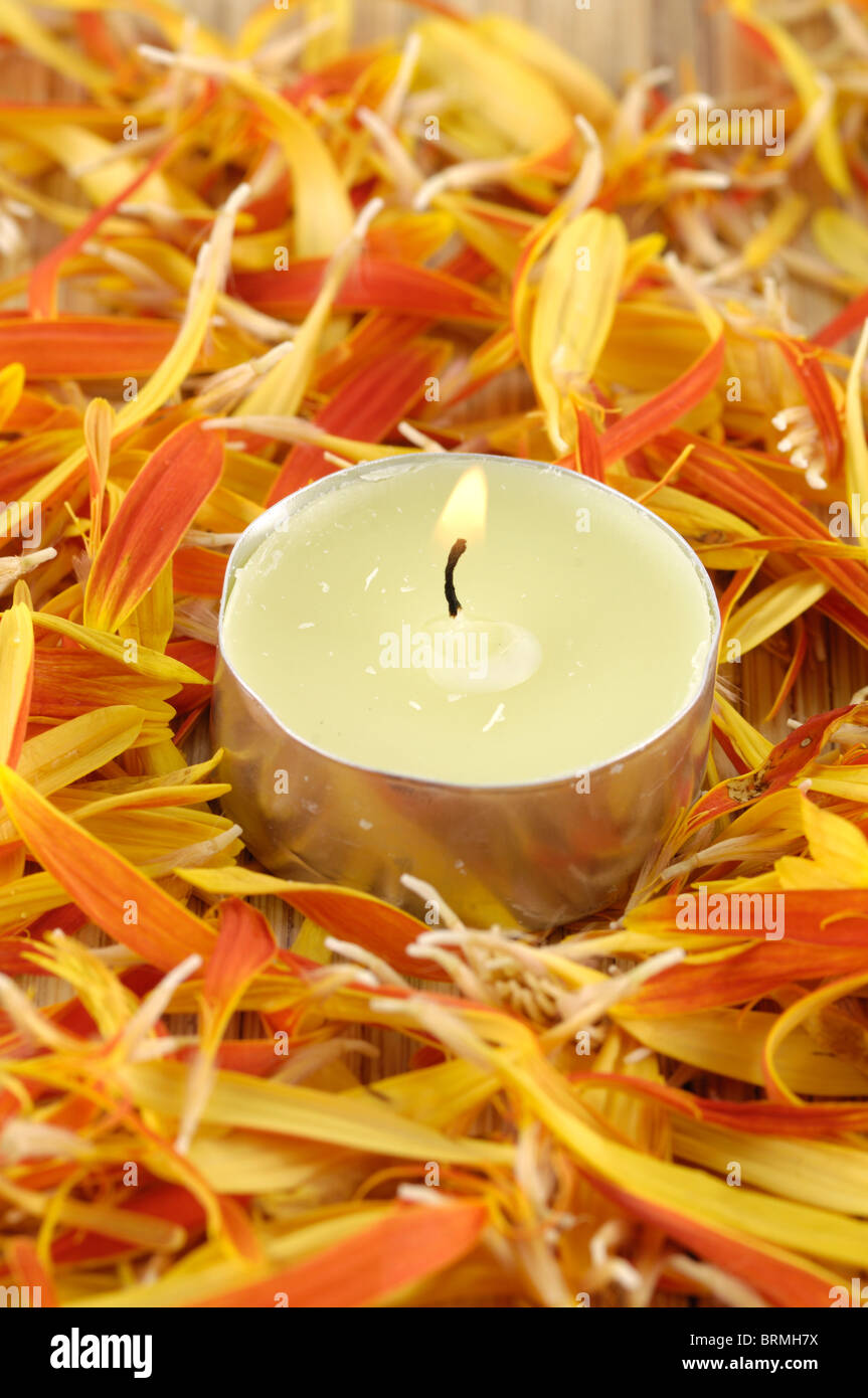 Candle Flower Burning High Resolution Stock Photography and Images - Alamy