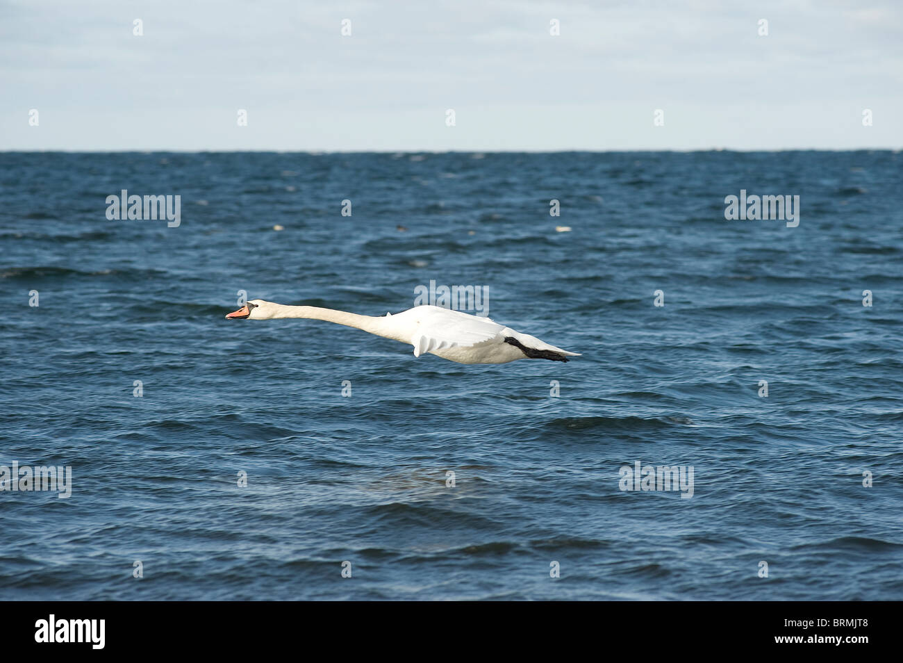 Flying soul hi-res stock photography and images - Alamy