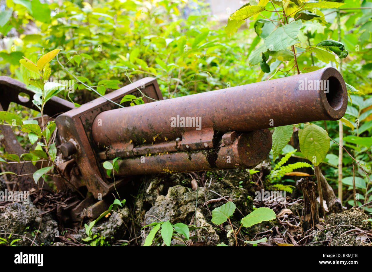Japanese world war ii cannon hi-res stock photography and images - Alamy