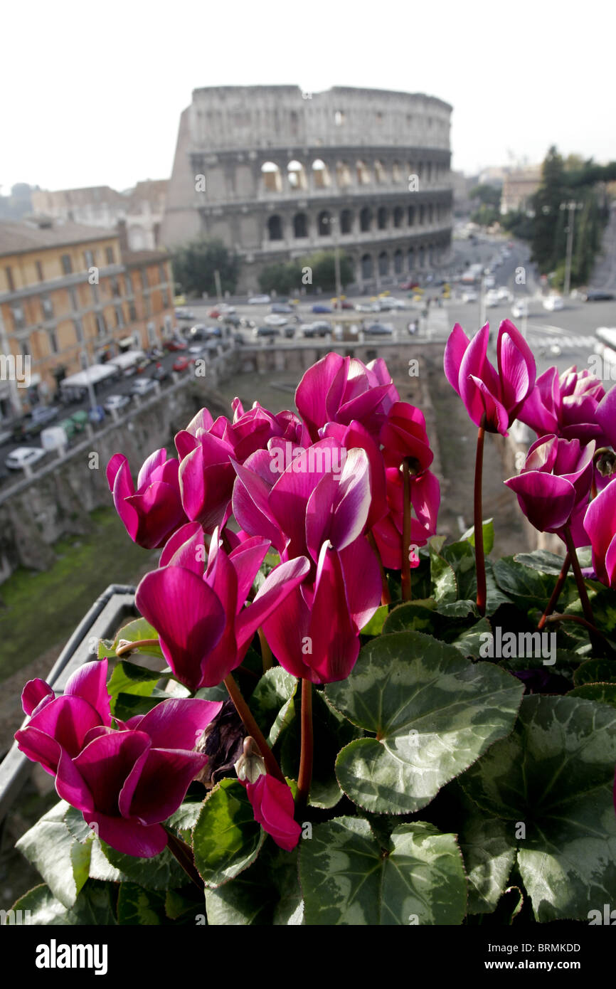 Engineering of ancient rome hi-res stock photography and images - Alamy