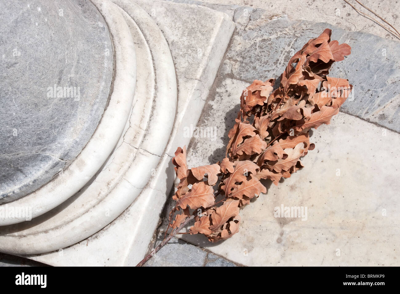 leaf on ground Rome Italy Stock Photo - Alamy