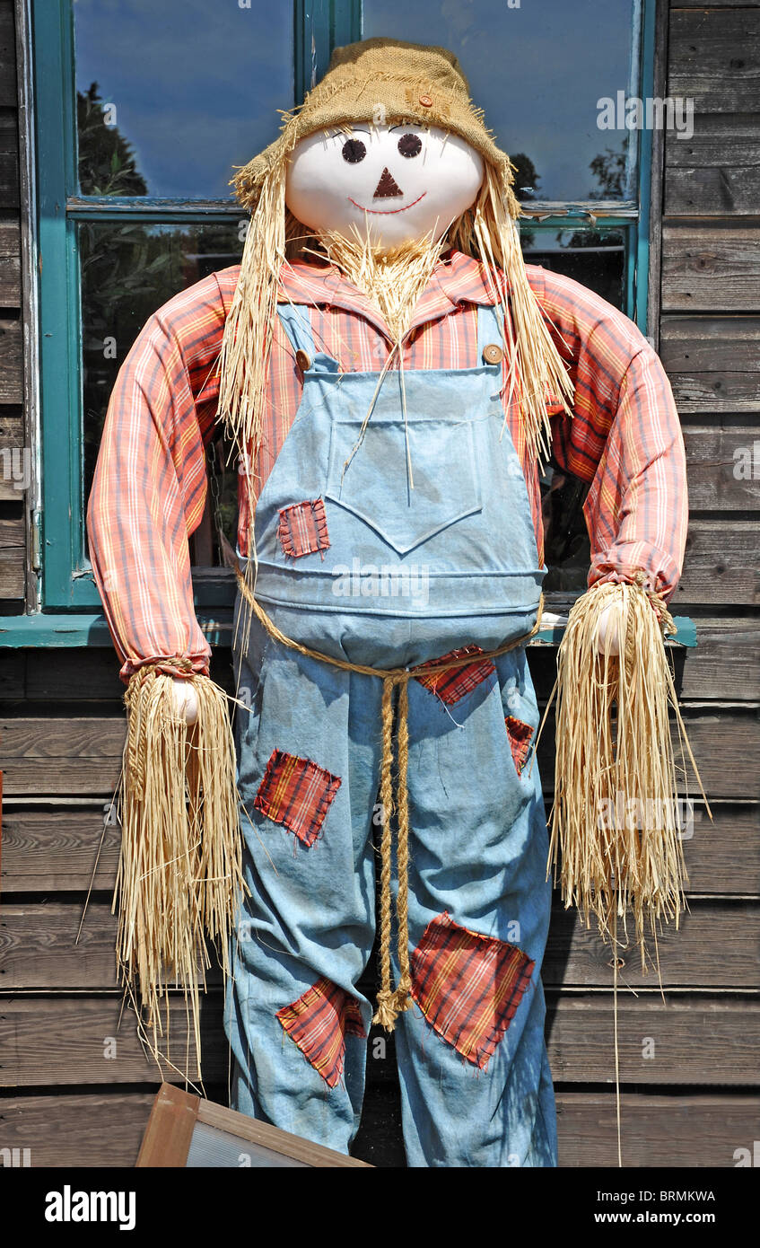Scarecrow hi-res stock photography and images - Alamy