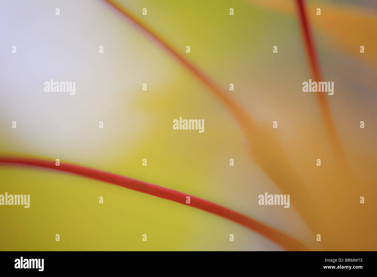 Artistic backgrounds hi-res stock photography and images - Alamy