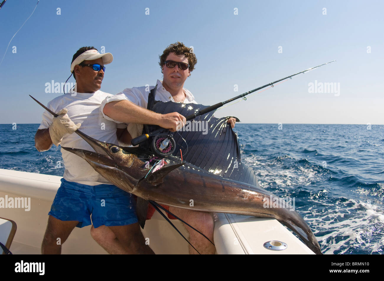 Sailfish caught on fly held by two fisherman Stock Photo - Alamy