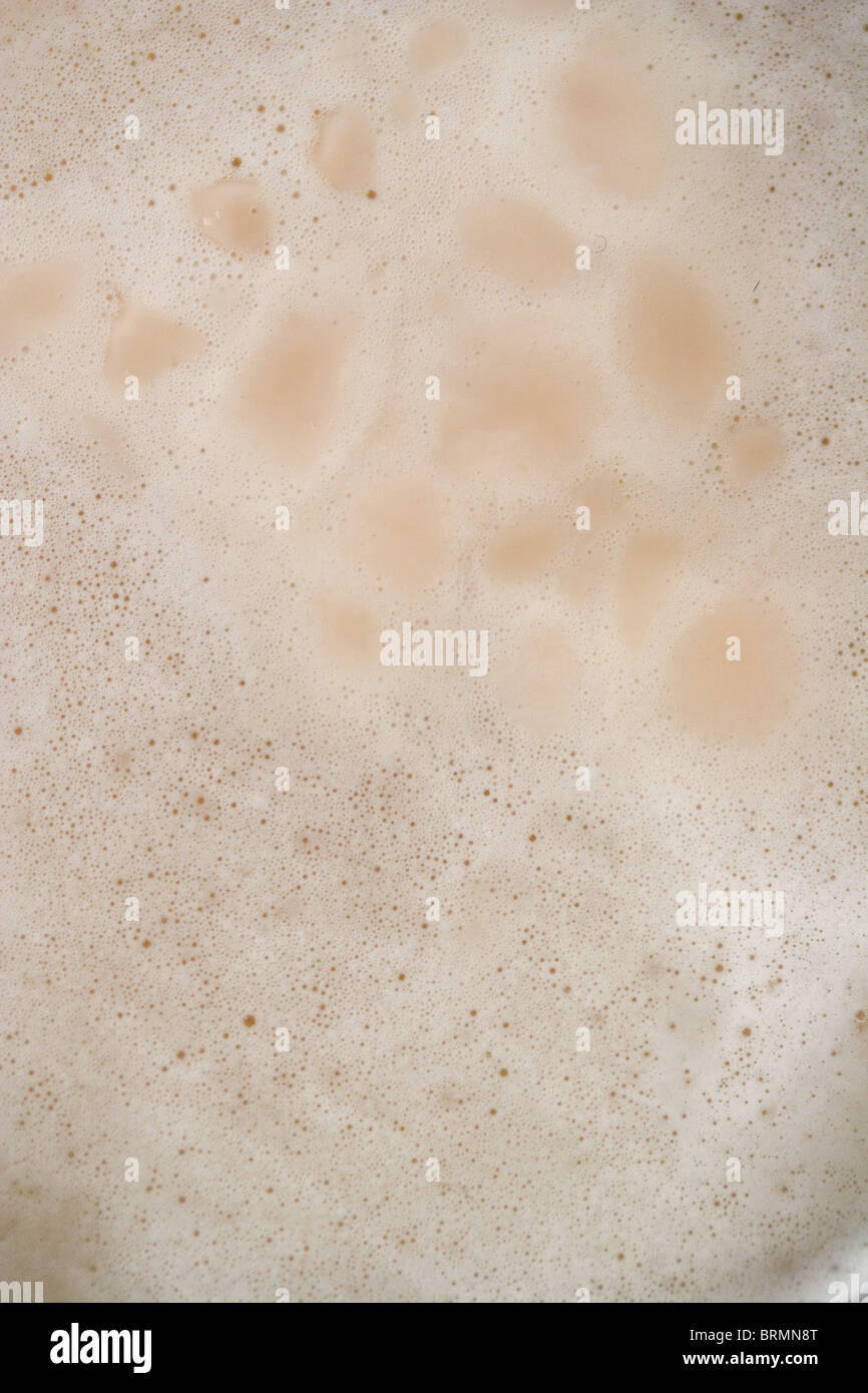 Yeast fermenting in water Stock Photo - Alamy
