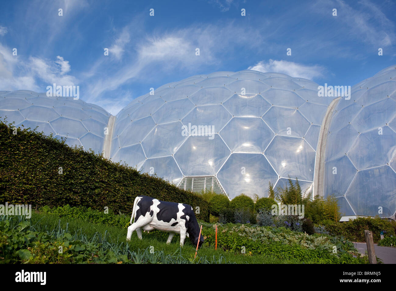 The eden project hi-res stock photography and images - Alamy
